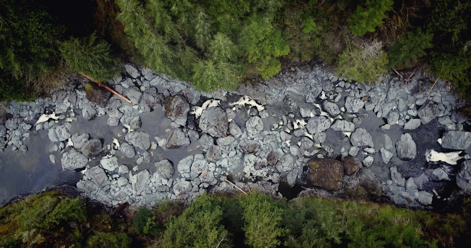Jordan River Watershed Awareness - Jordan River, BC