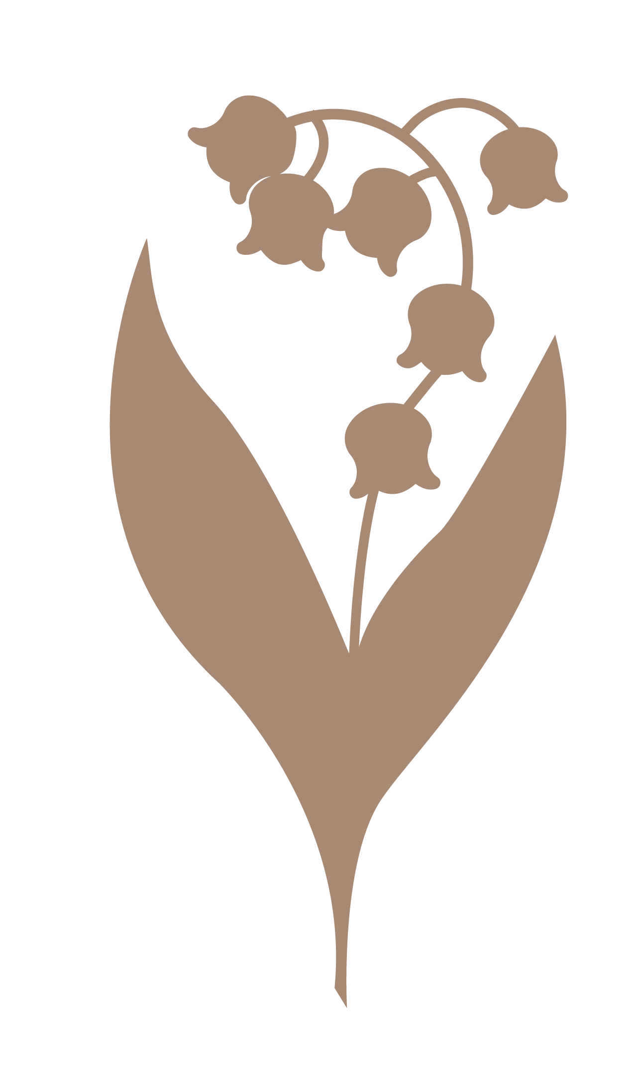 Desi Flora- Kansas City Bespoke Floral Artistry