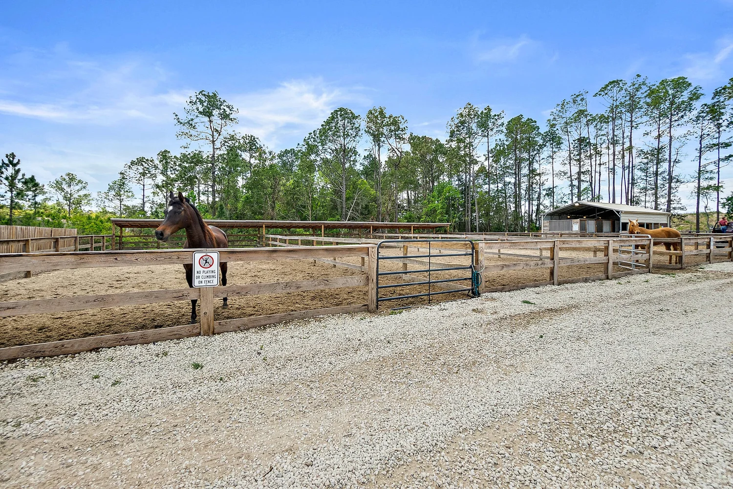 Initiatives — Victory Farms