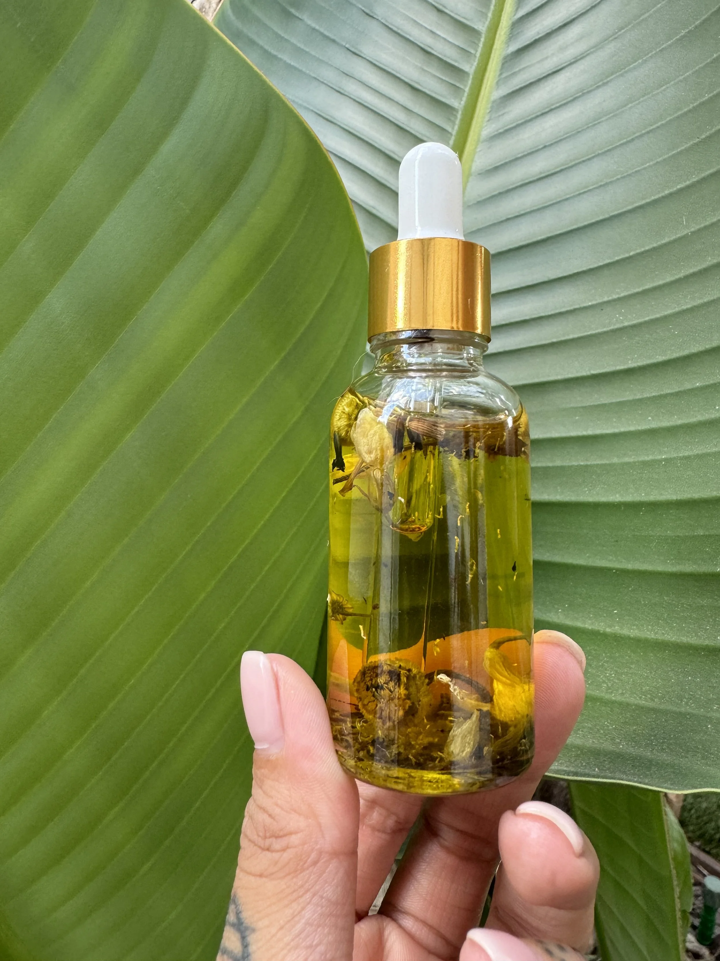 Shop — Venom Ascensions