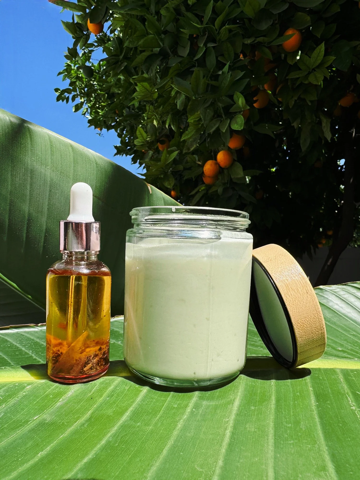 Apothecary Store — Venom Ascensions