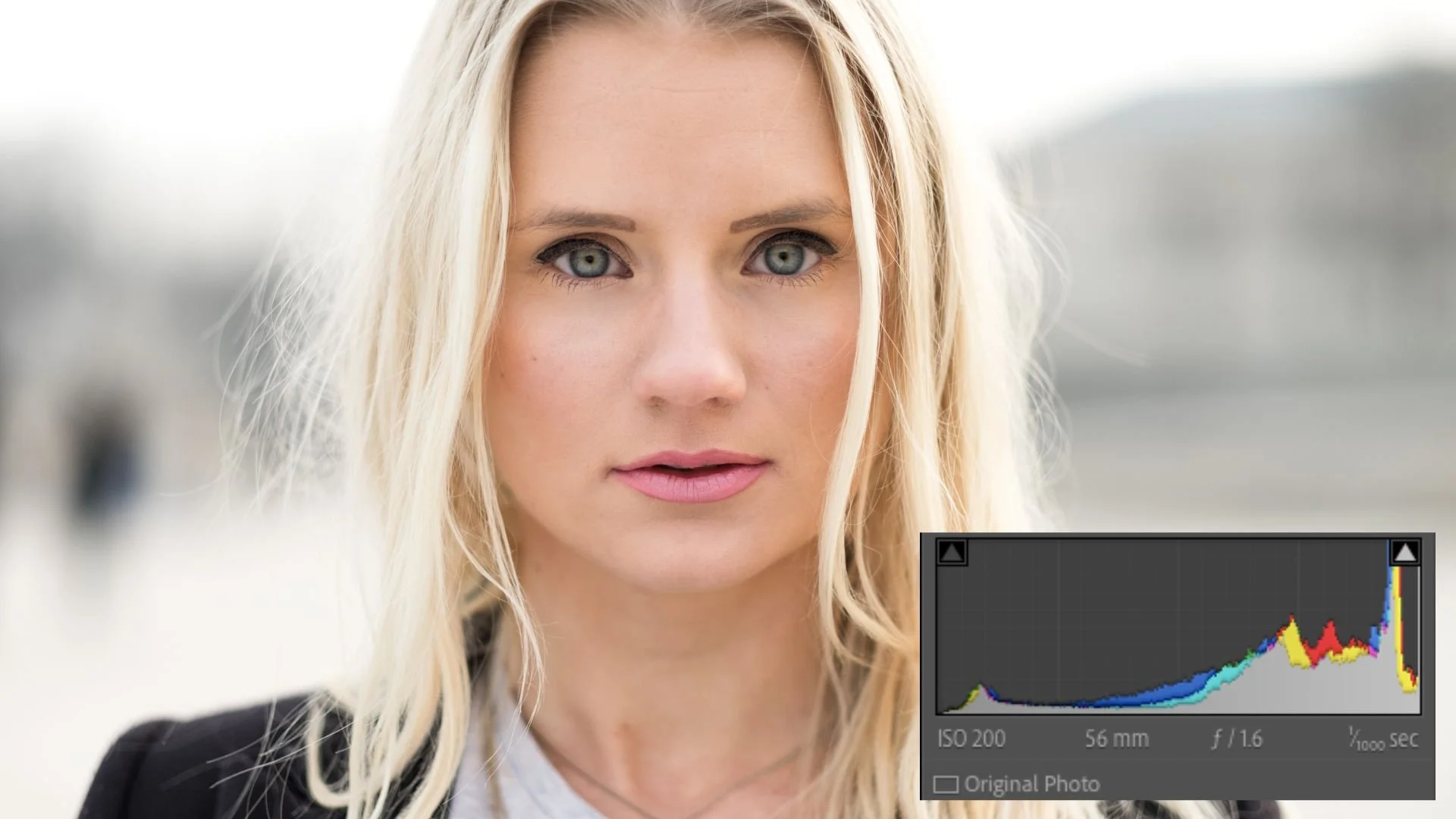 The Histogram — Focal Point