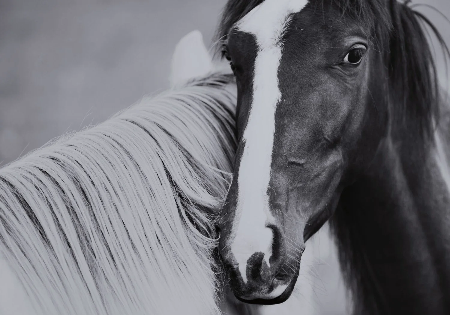 About — Backroad Portfolio