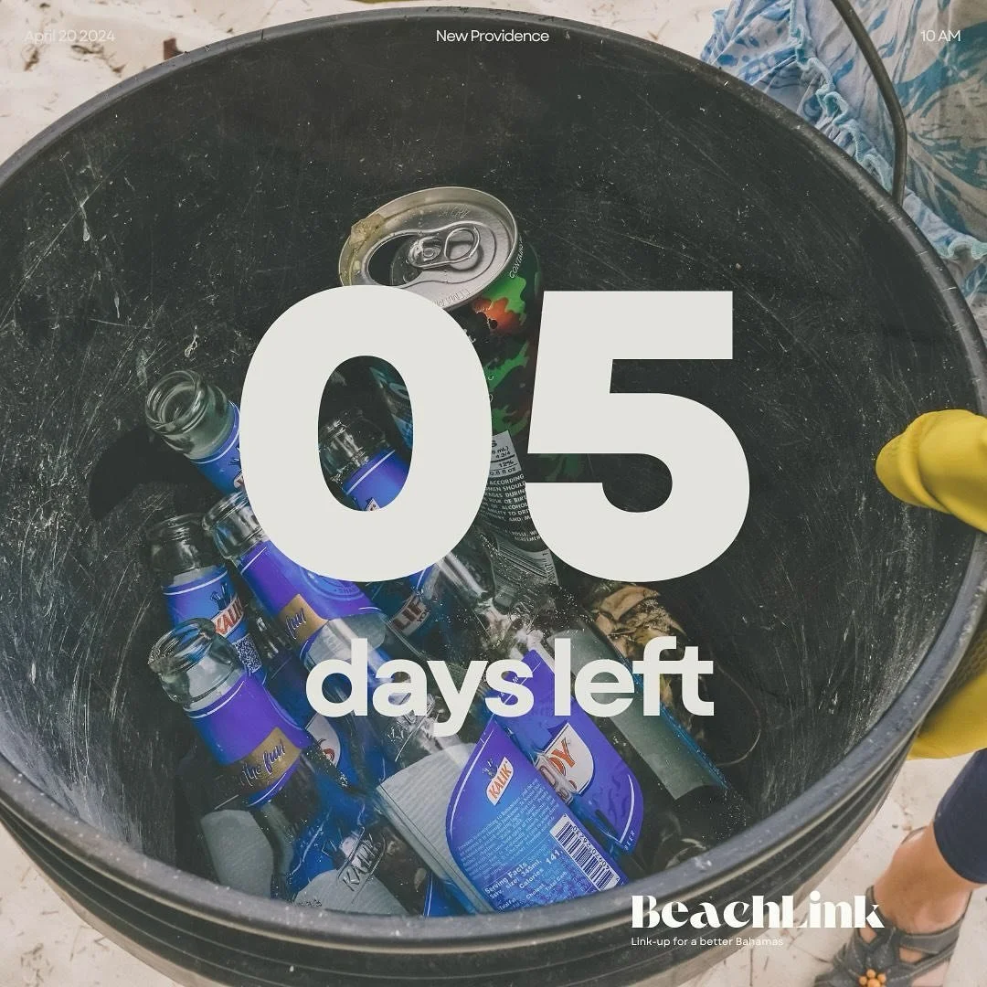 The BeachLink Project