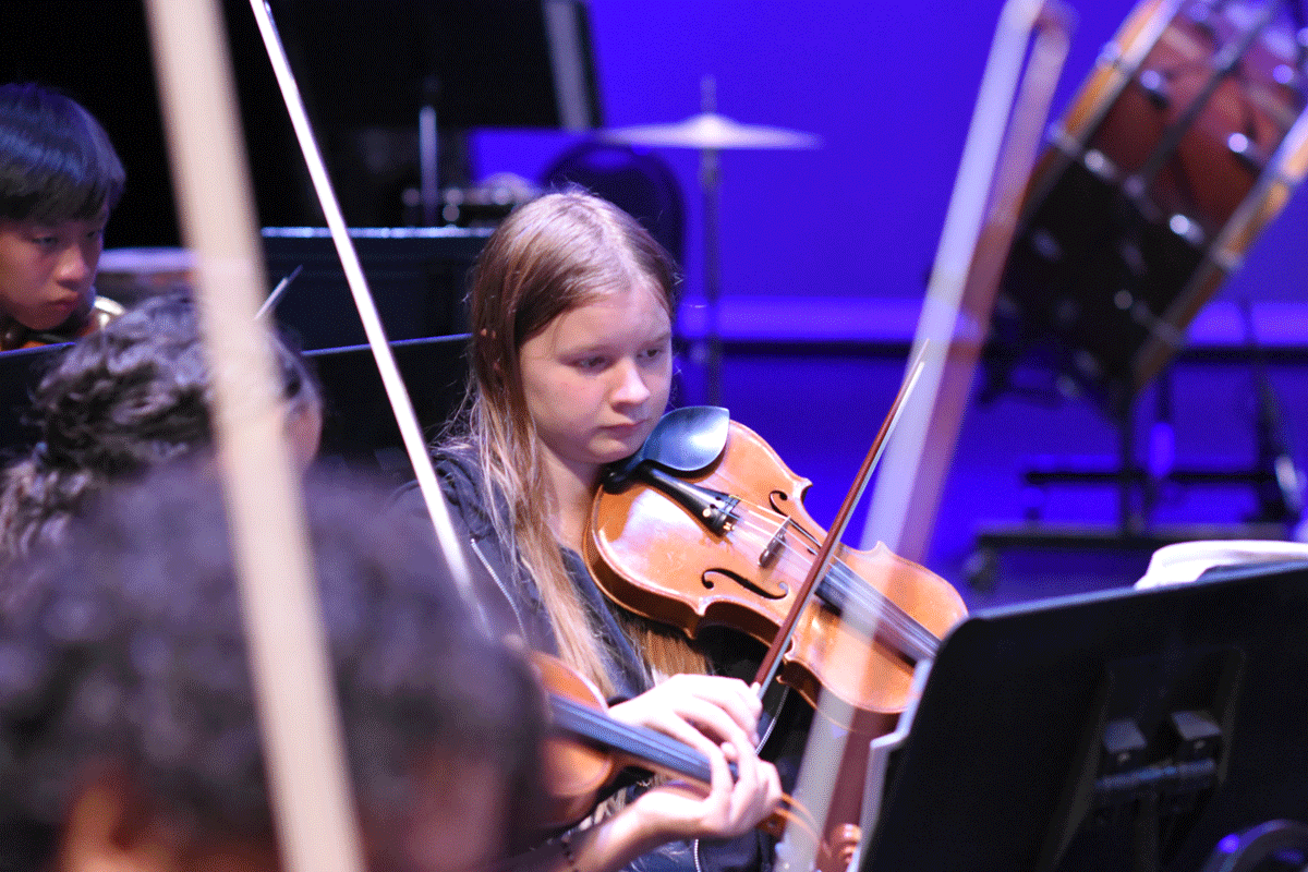 Mary's Summer Strings Academy Application — TREASURE COAST YOUTH SYMPHONY