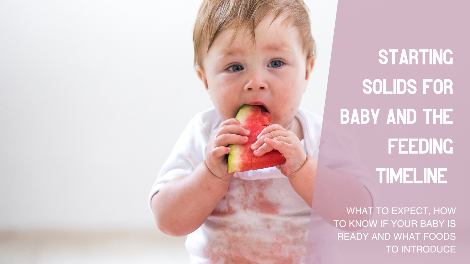 Babies’ First Foods: A Journey into Introducing Solids — Bite Sized ...
