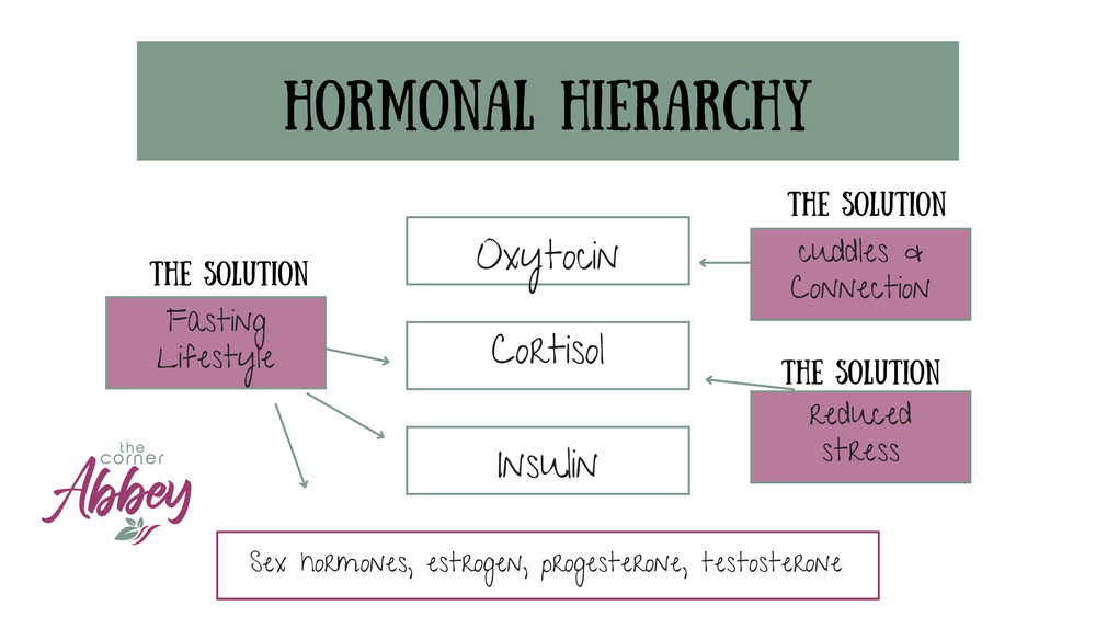 Hormonal Hierarchy: Creating Balance — Cultivated Health with Kristy Edgar