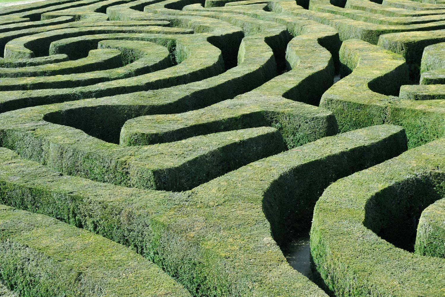 What are the 8 types of intelligence? Plus, how to find yours — Calm Blog