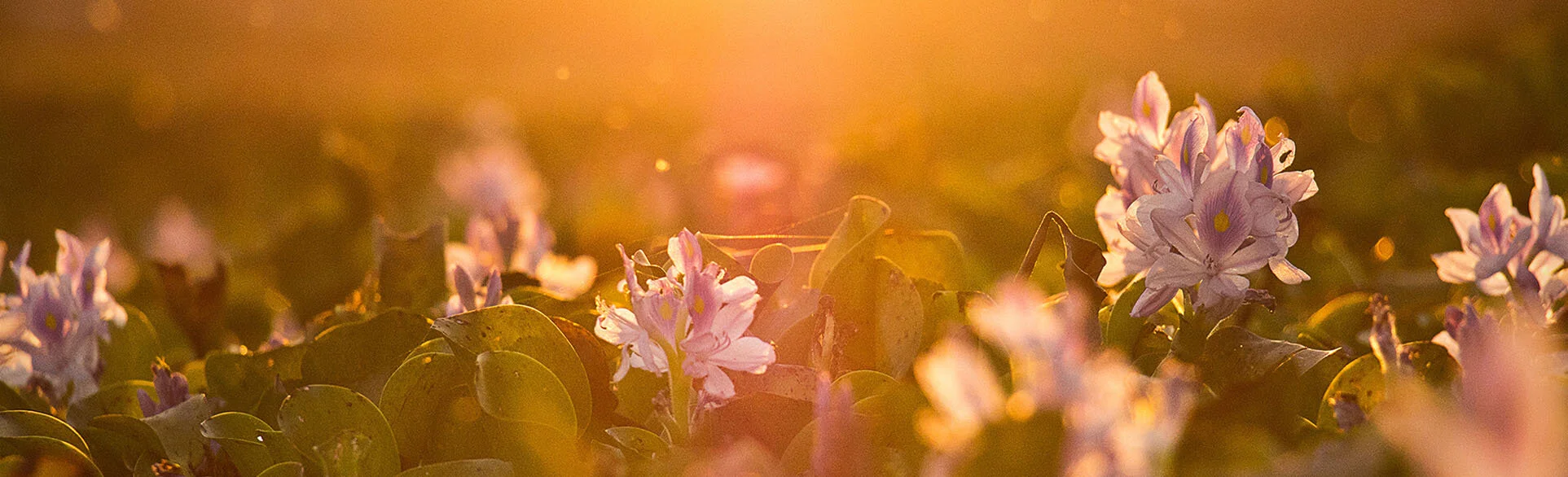 Calm Blog | 이 순간을 모두 함께