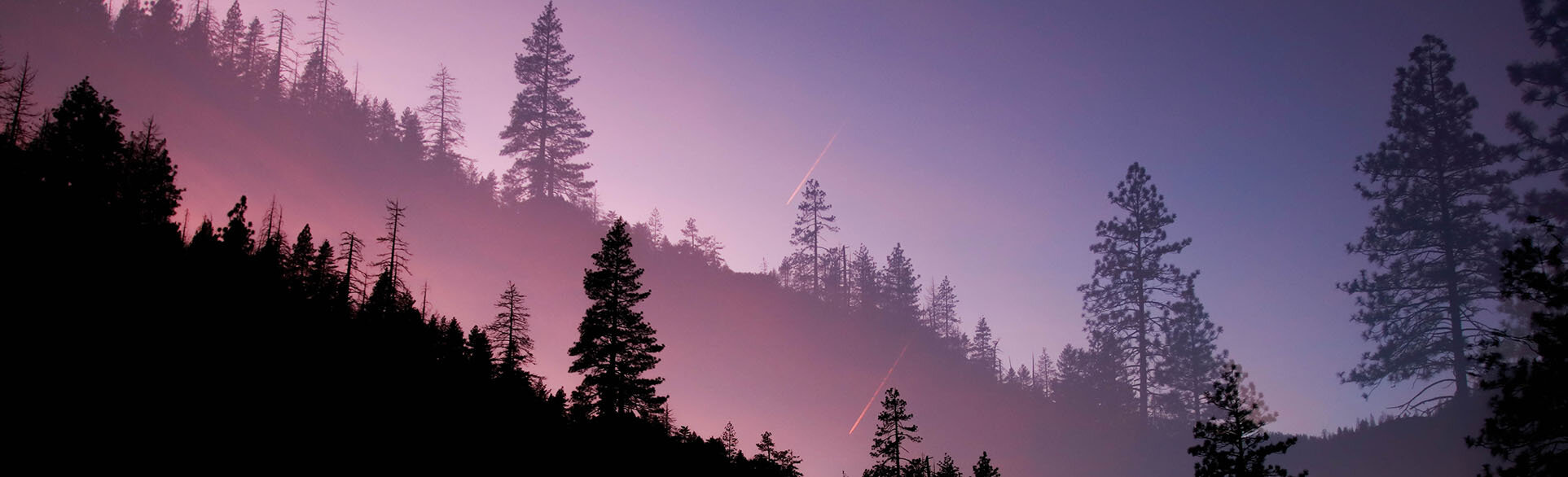 Calm Blog | 이 순간을 모두 함께