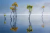 Mantra meditation: what it is, benefits, and how to practice — Calm Blog