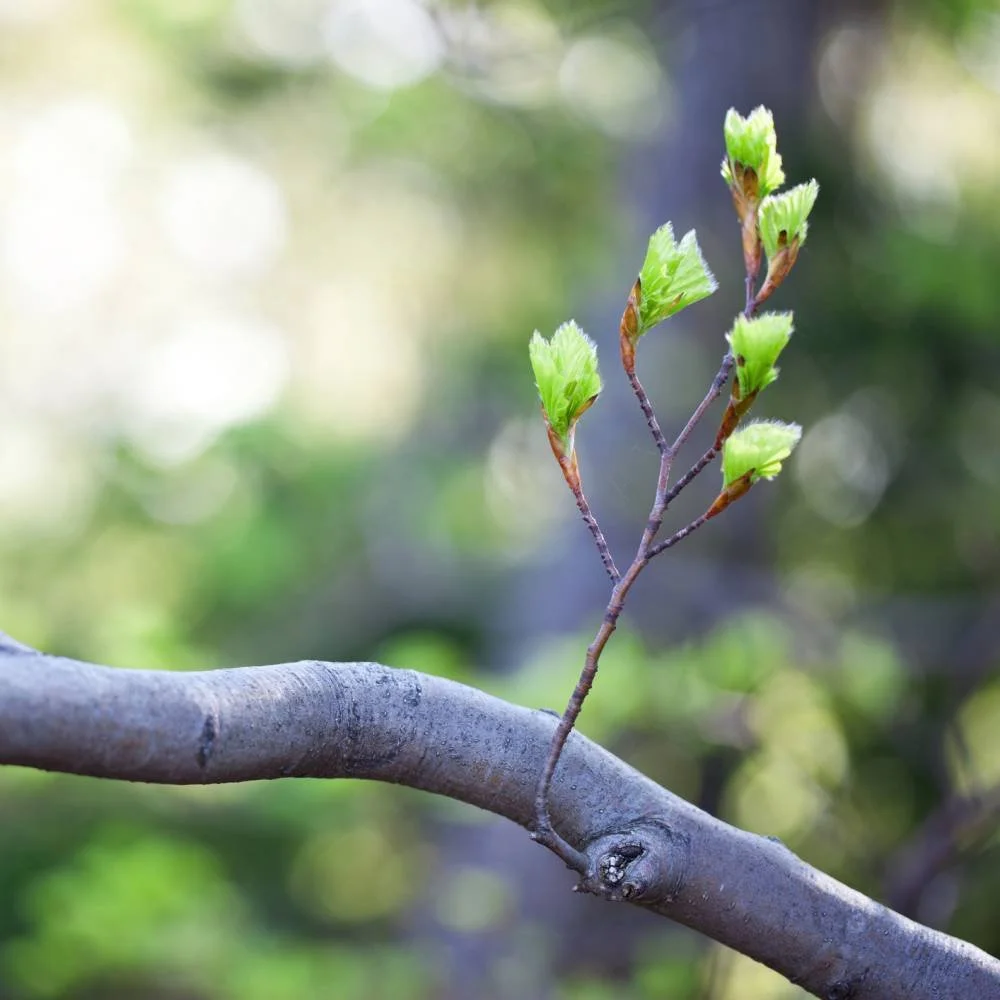 Calm Blog | Calm your mind. Change your life.