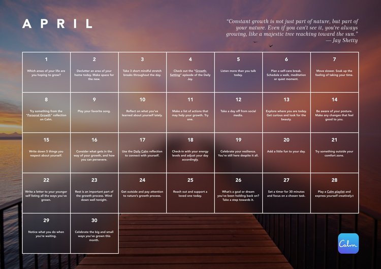The Calm Calendar: Daily mindfulness prompts to support your wellbeing ...
