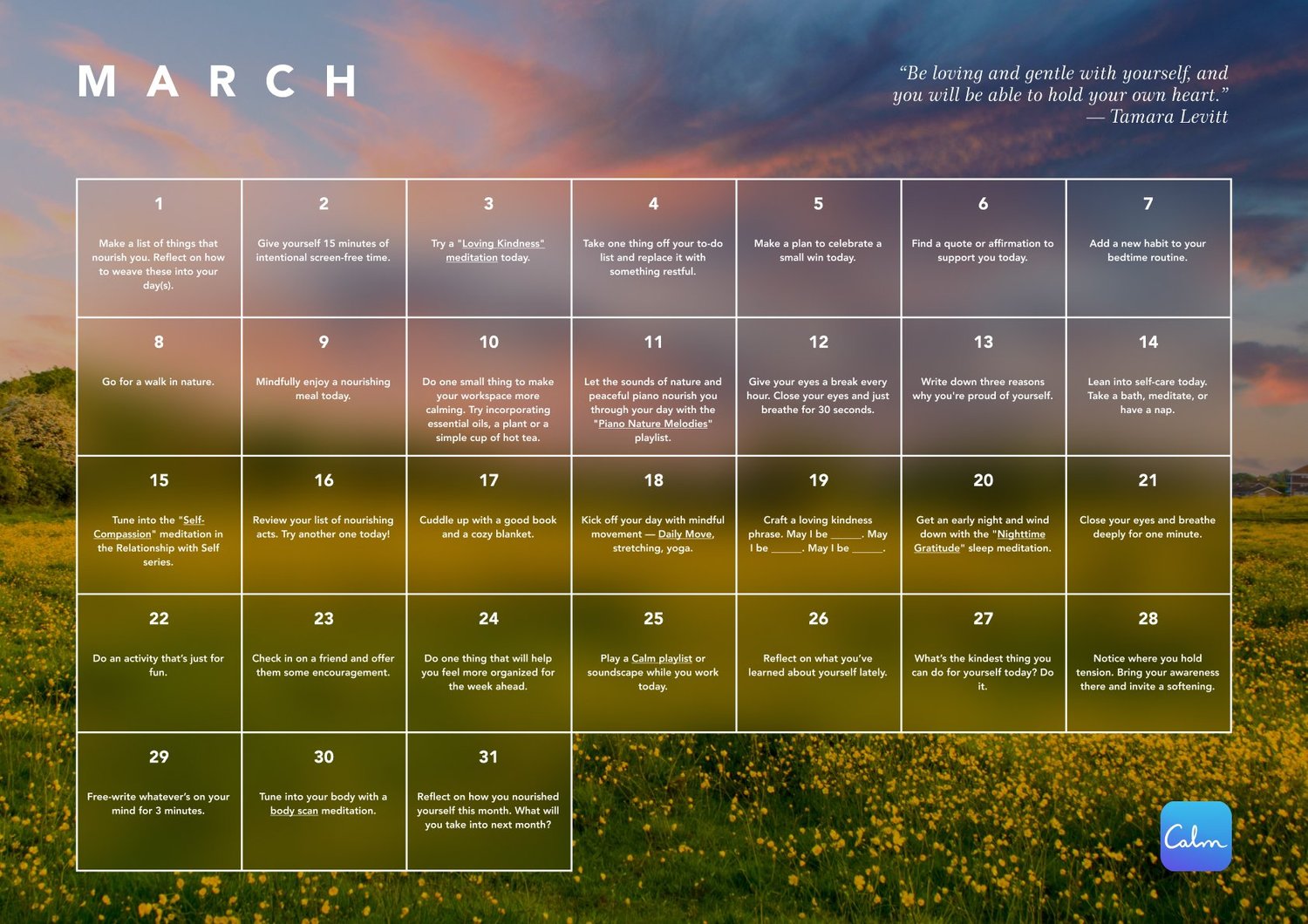 The Calm Calendar: Daily mindfulness prompts to support your wellbeing ...