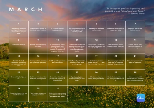 The Calm Calendar: Daily mindfulness prompts to support your wellbeing ...