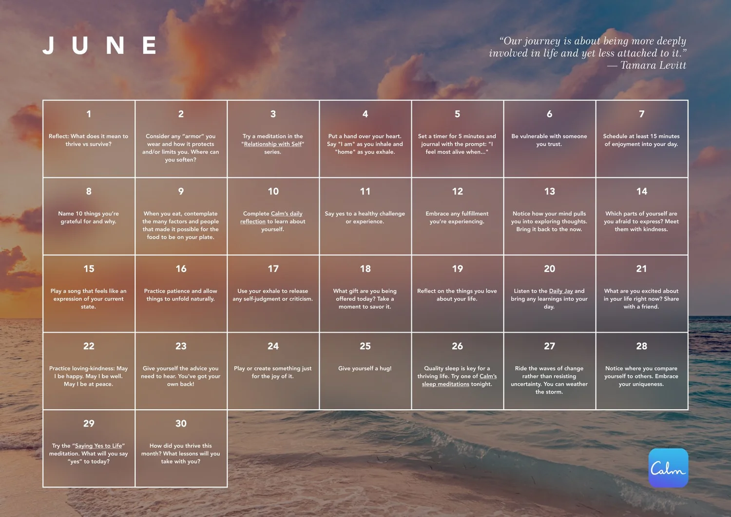 The Calm Calendar: Daily mindfulness prompts to support your wellbeing ...