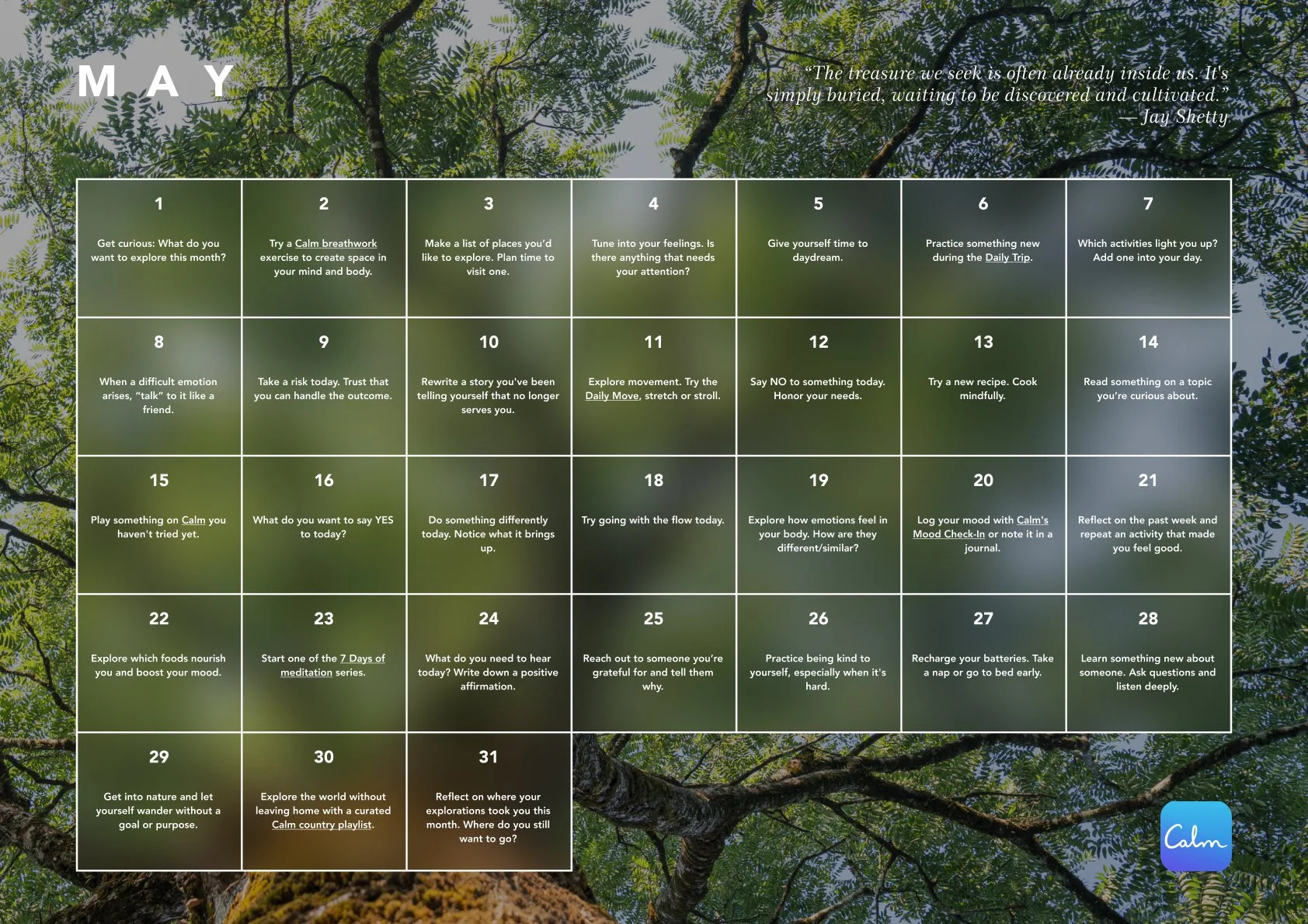The Calm Calendar: Daily mindfulness prompts to support your wellbeing ...