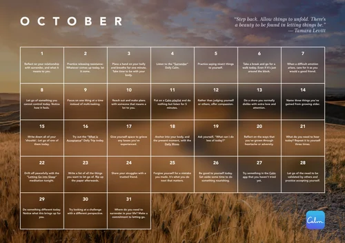The Calm Calendar: Daily mindfulness prompts to support your wellbeing ...