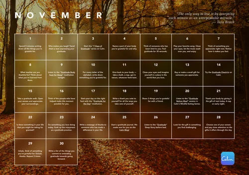 The Calm Calendar: Daily mindfulness prompts to support your wellbeing ...