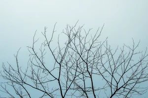 Seasonal depression: what it is, symptoms & how to overcome it — Calm Blog