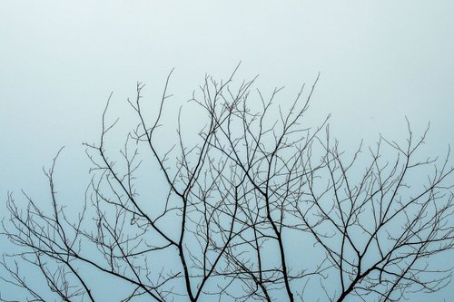 Seasonal depression: what it is, symptoms & how to overcome it — Calm Blog