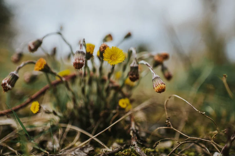How to spot ADHD spouse burnout (and 8 mindful ways to cope) — Calm Blog