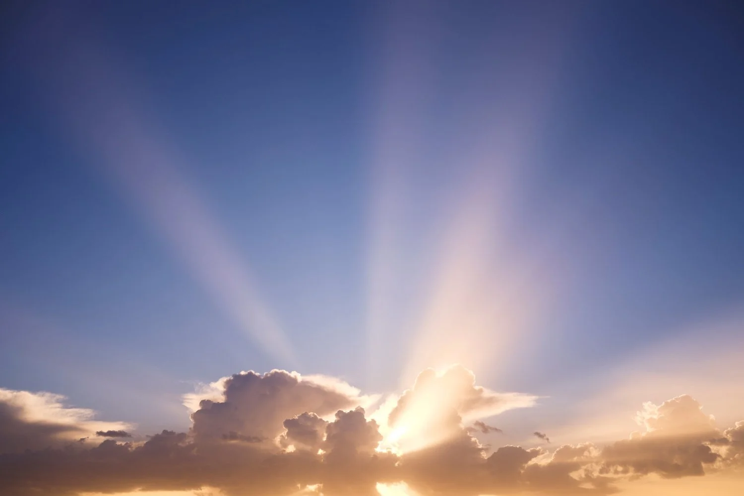 How to mentally and emotionally recover after a natural disaster — Calm ...