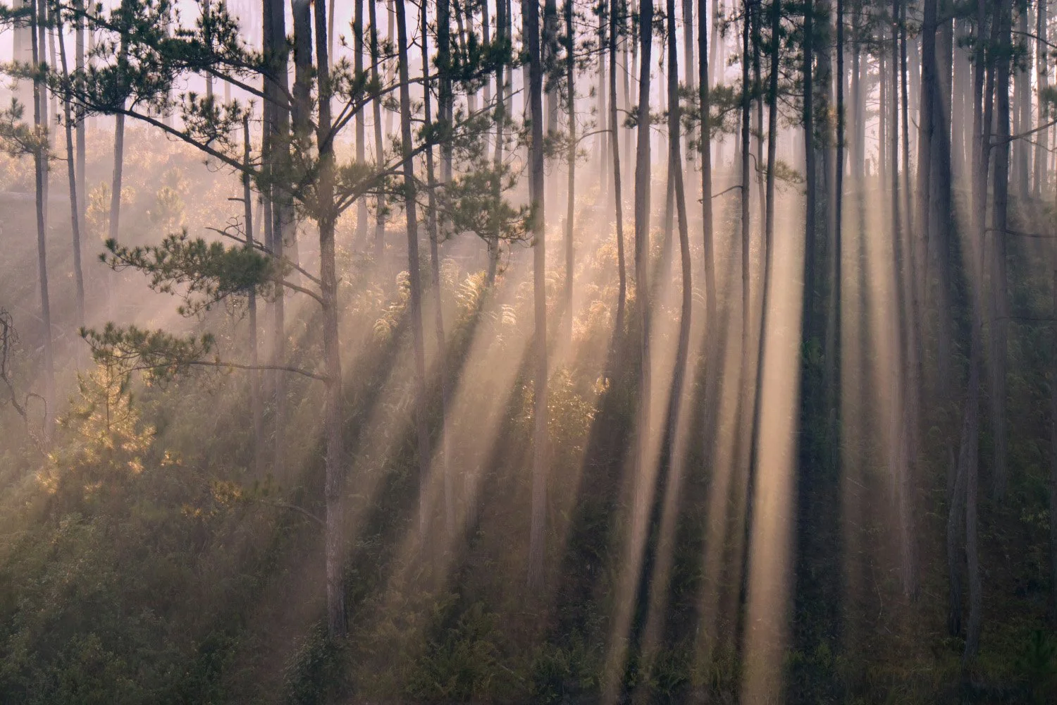 Can EMDR help you better manage your PTSD? 6 things to consider — Calm Blog