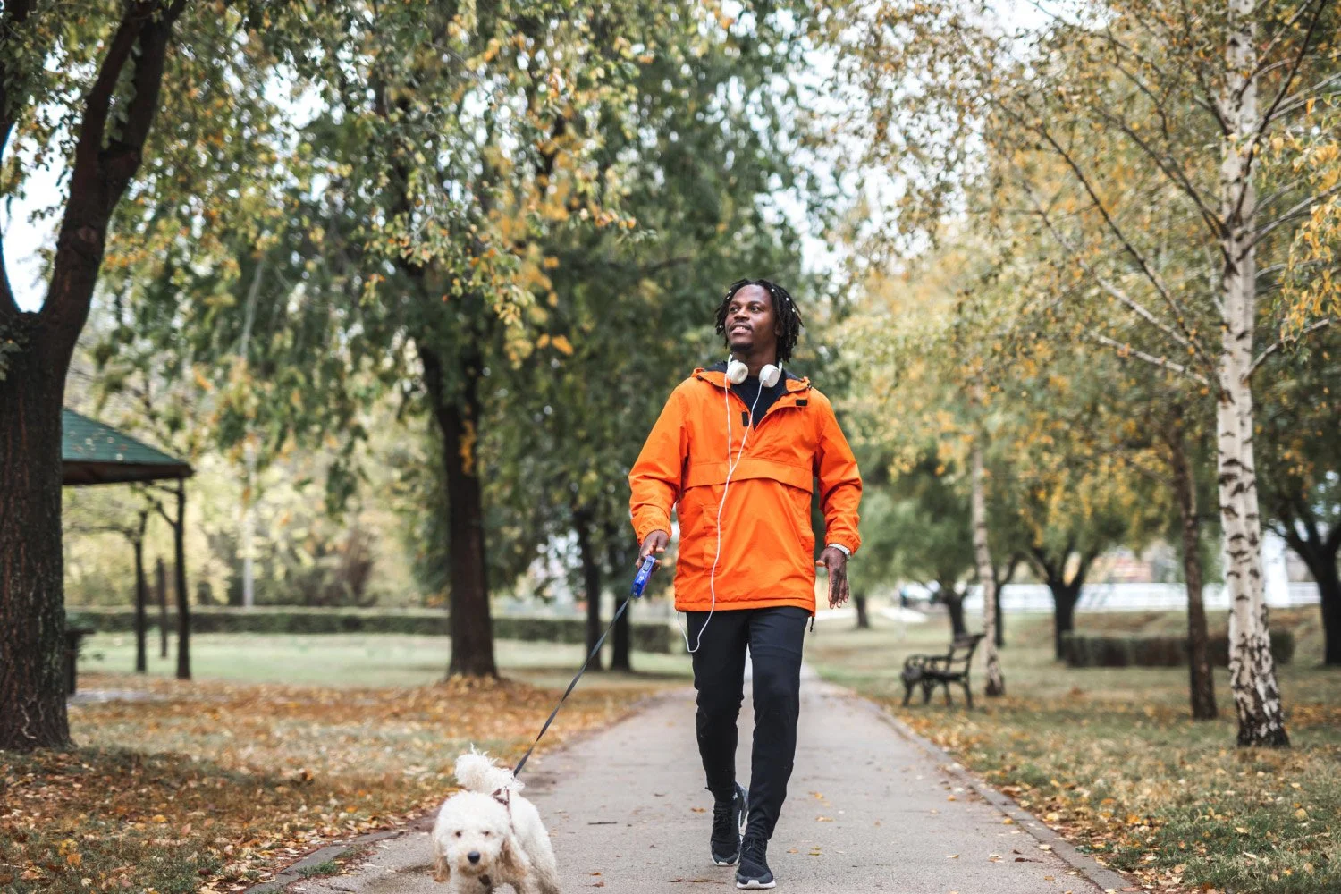 How many steps per day should you take? Plus, 12 ways to get there ...