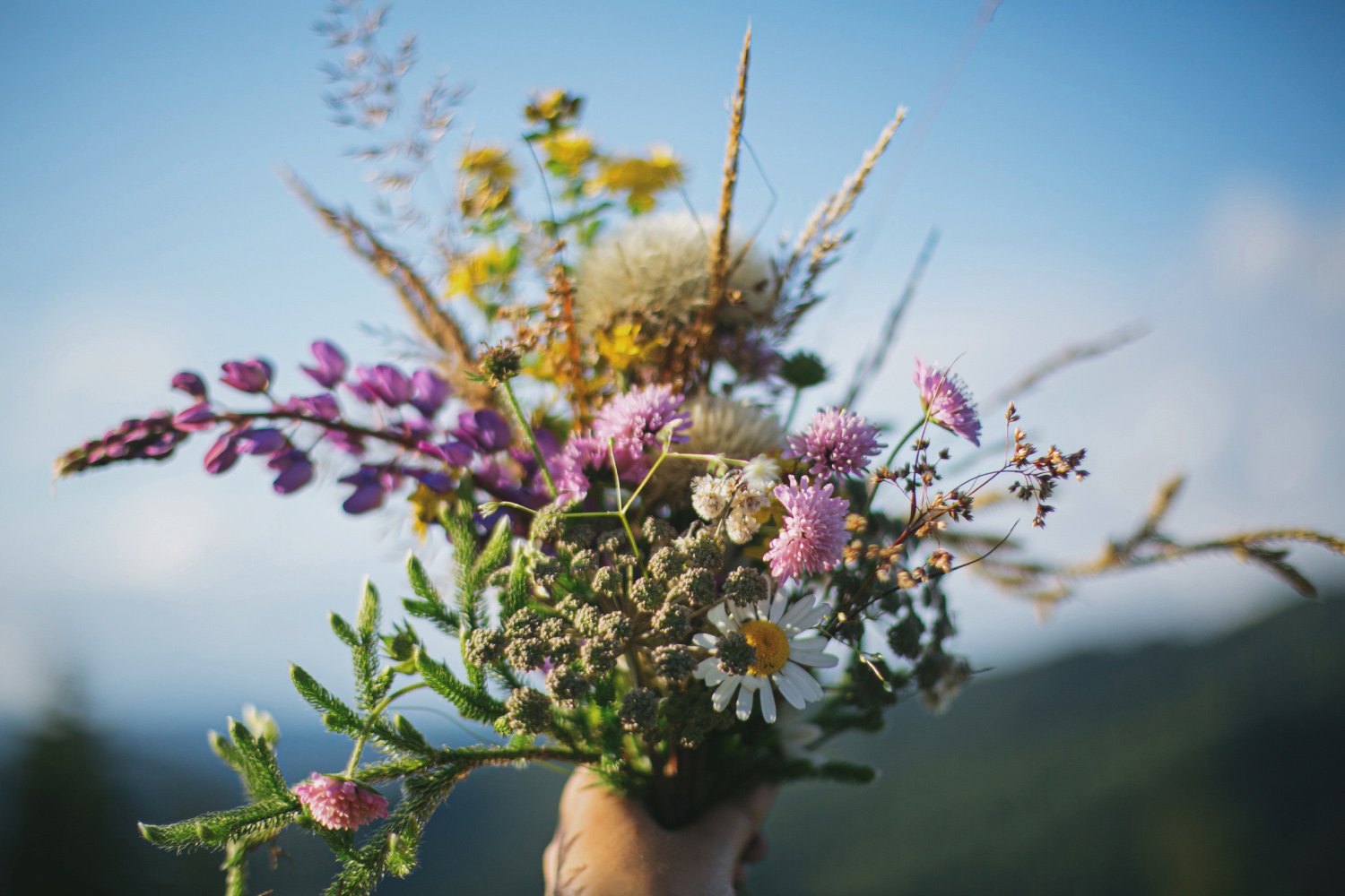 How to date yourself (and fall in love with your alone time) — Calm Blog