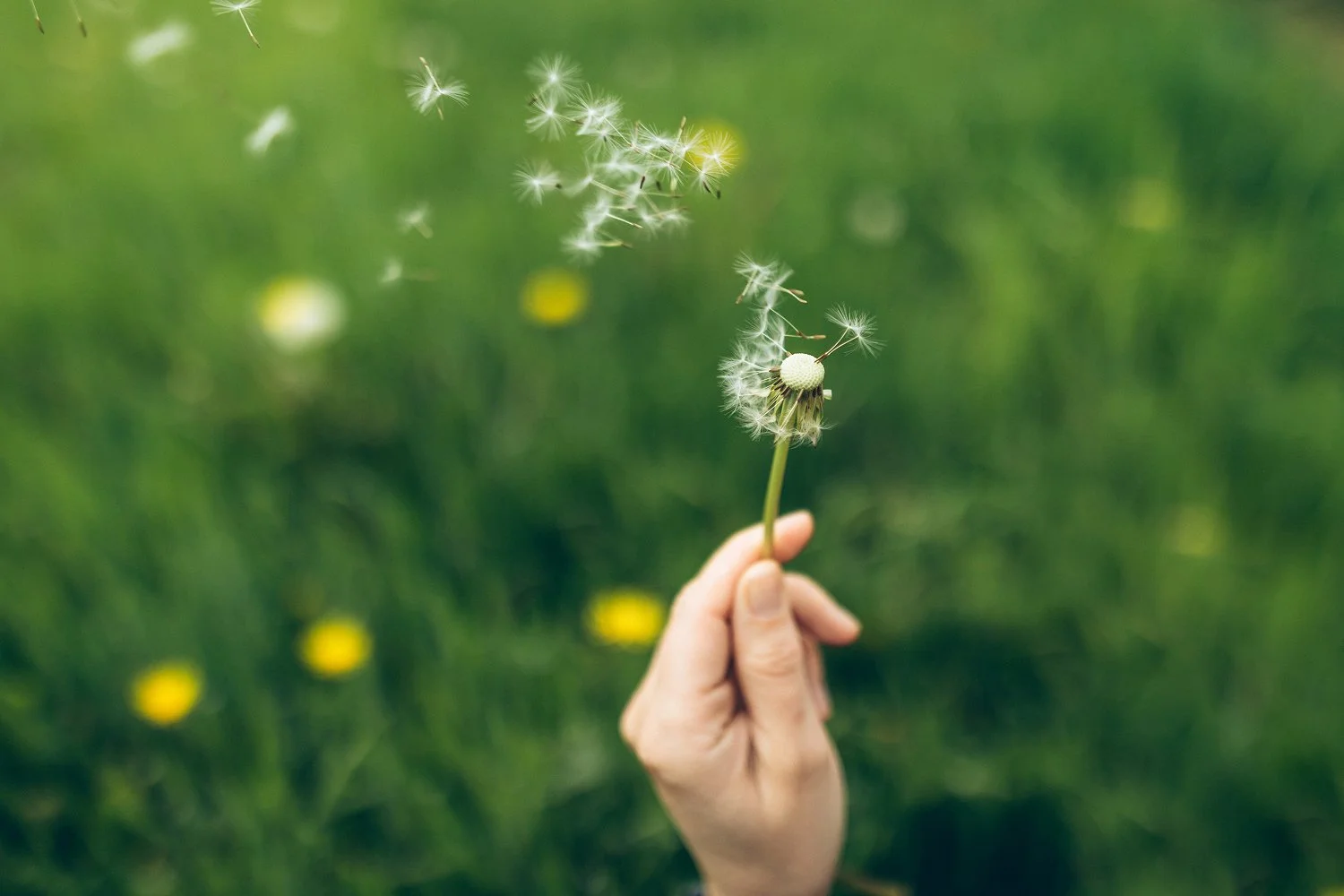 Why letting go can be so hard (and 8 ways to actually do it) — Calm Blog