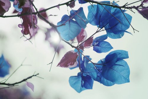 Struggling with gender disappointment? Here are 6 ways to cope — Calm Blog