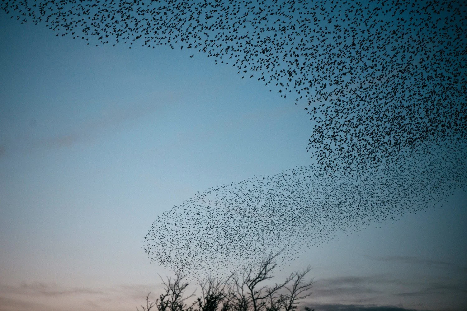 What does it mean to be overstimulated? Plus, how to deal — Calm Blog