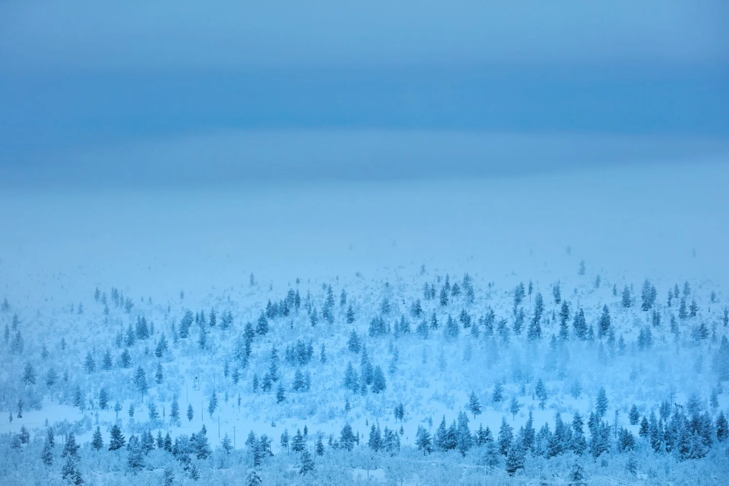 Feeling the January blues? These 7 tips can help you cope — Calm Blog