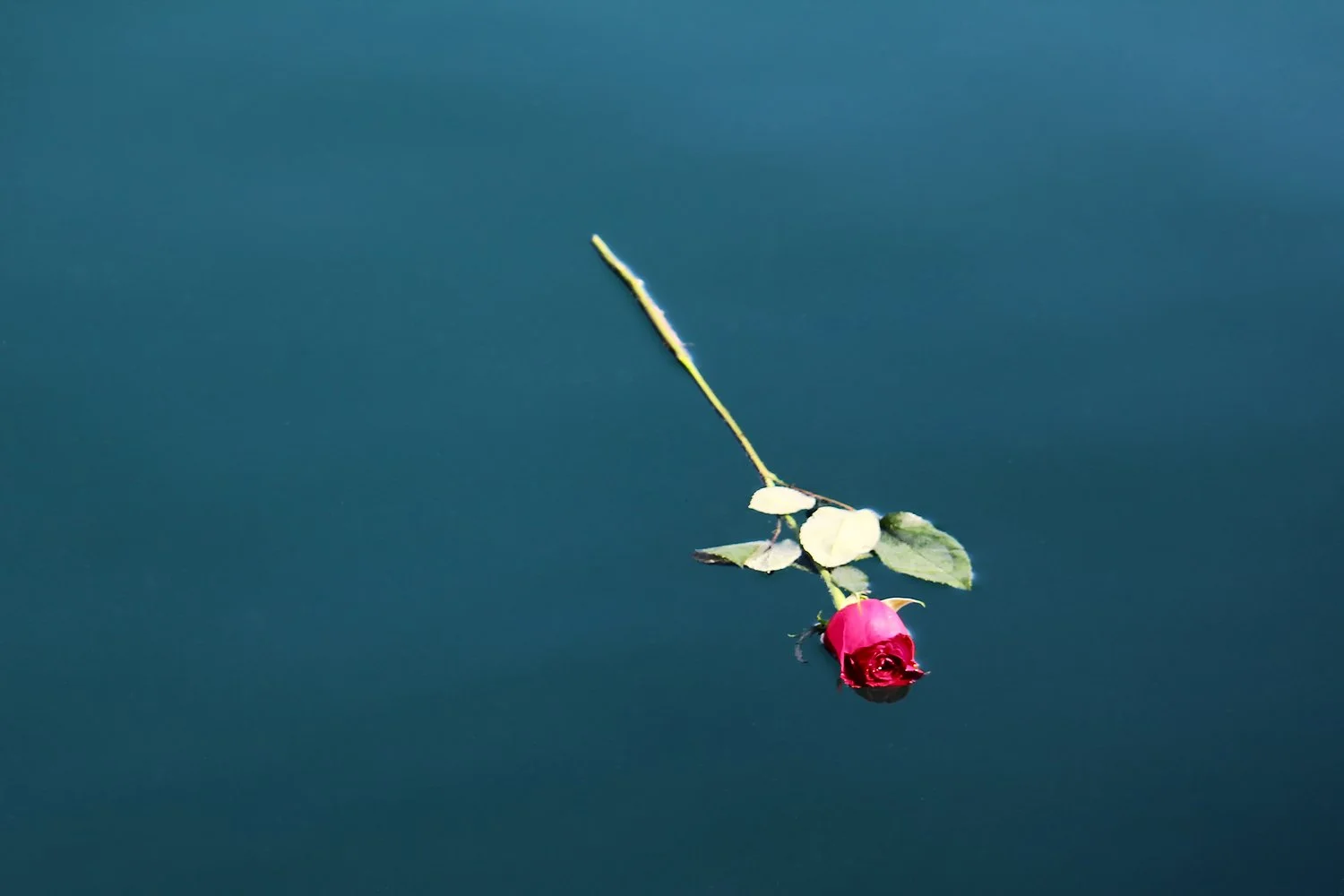 Stuck in unrequited love? 12 tips to help you move forward — Calm Blog