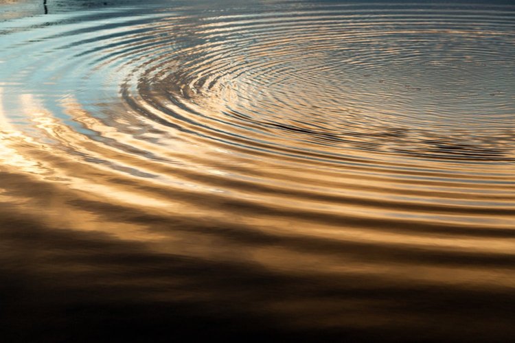 Buddhist meditation: types, techniques & how to practice — Calm Blog