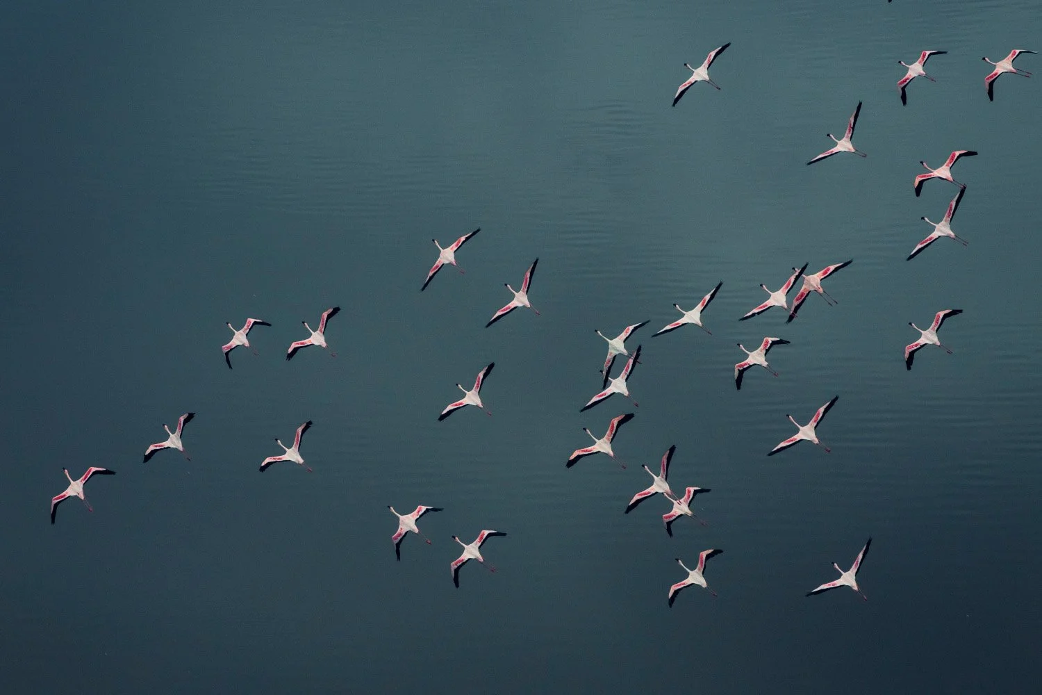 How to overcome group polarization and think for yourself — Calm Blog