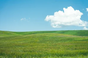 How digital minimalism can help you stress less and focus more — Calm Blog