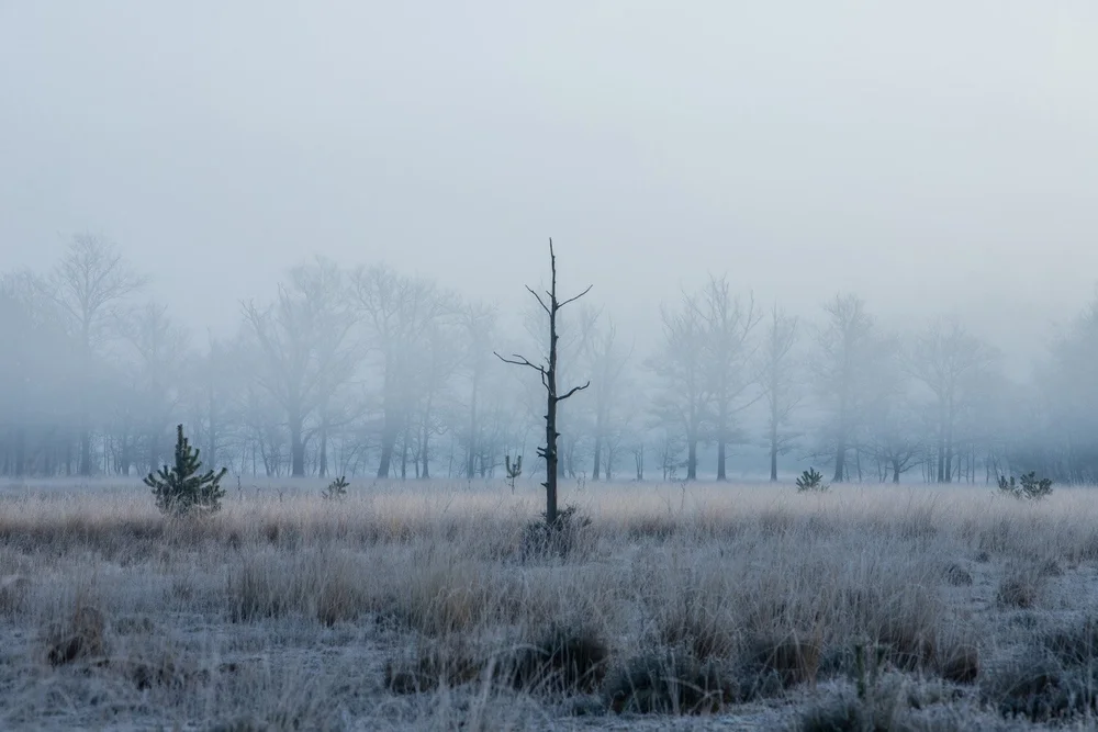 What is winter depression? Plus, 6 tips to help you treat it — Calm Blog