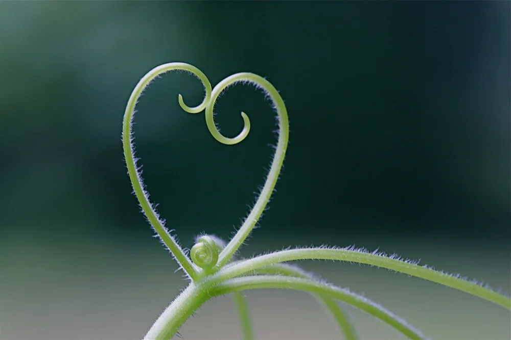 Is the invisible string theory harmful? What you need to know — Calm Blog