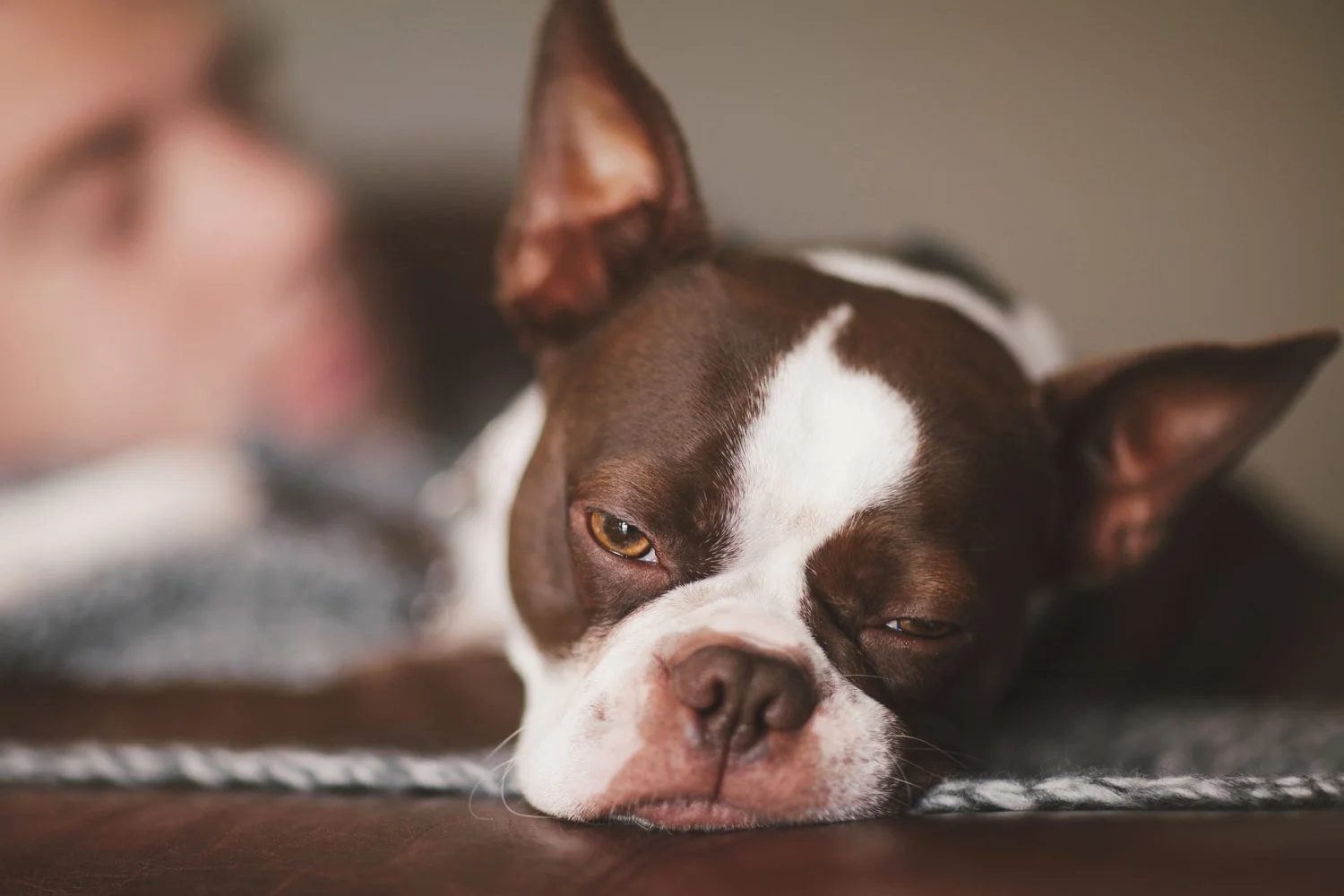 How to improve interpersonal skills in the workplace — Calm Blog