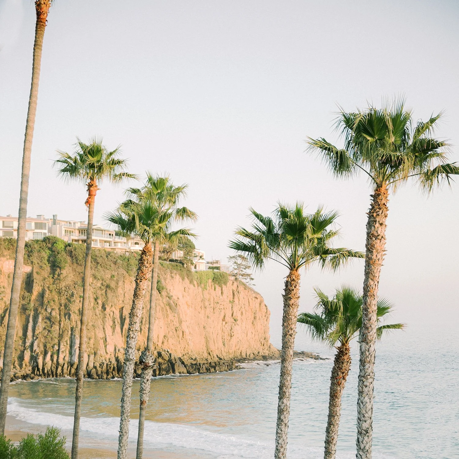 Irvine Cove Wedding- Laguna Beach, California — Rosemary Events