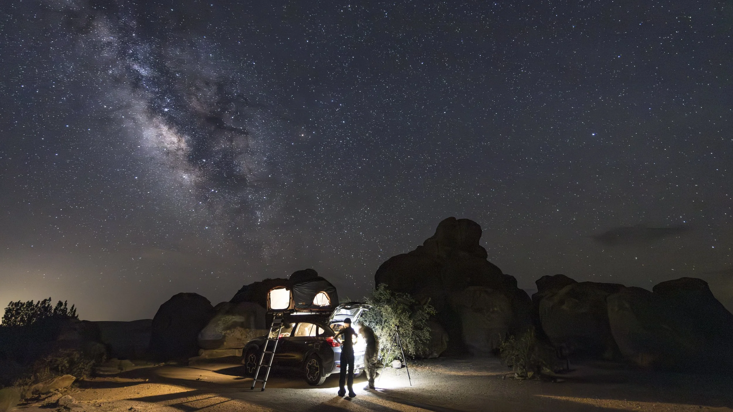 Astro — Hall of the Wild