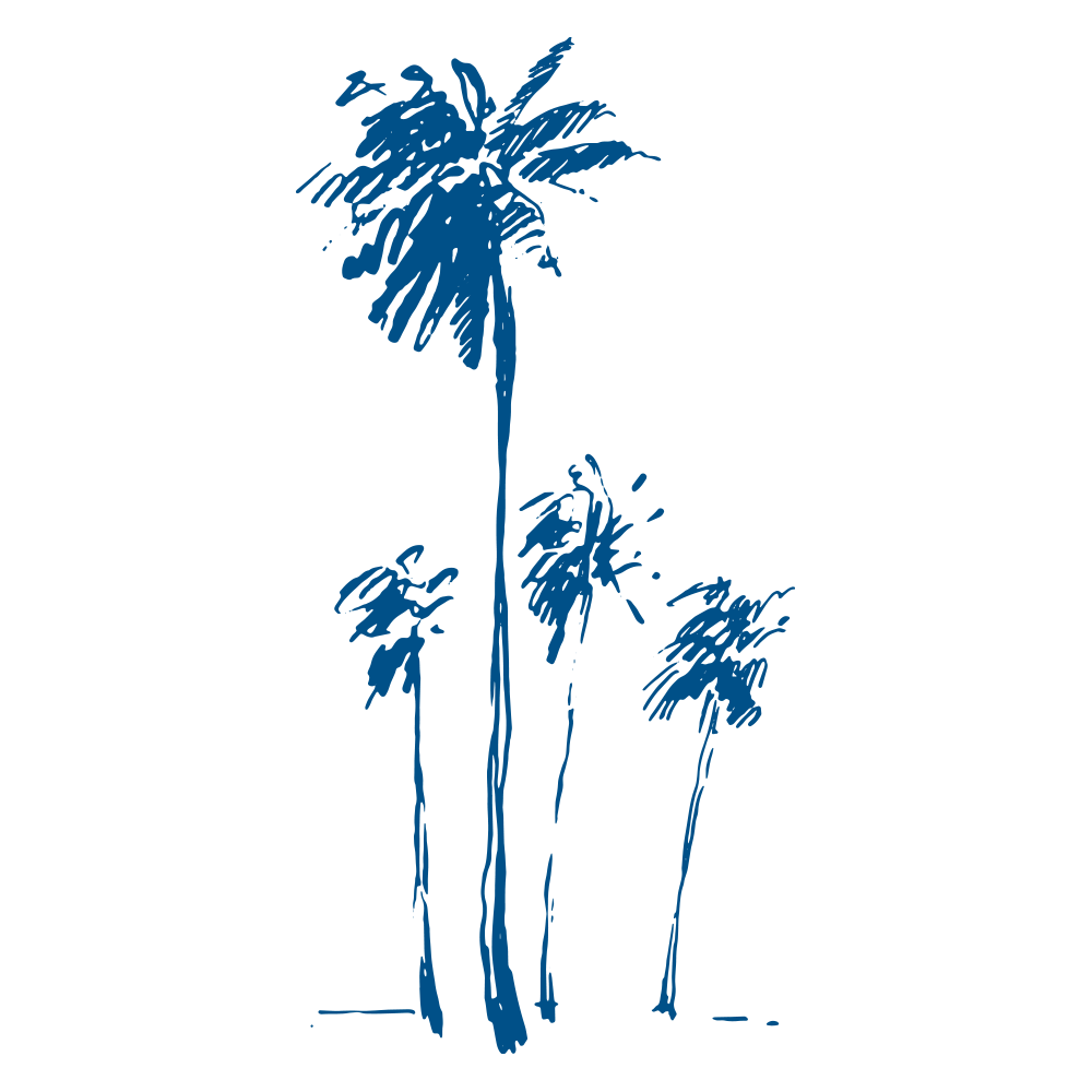 SOLEA — ZABELA BEACH