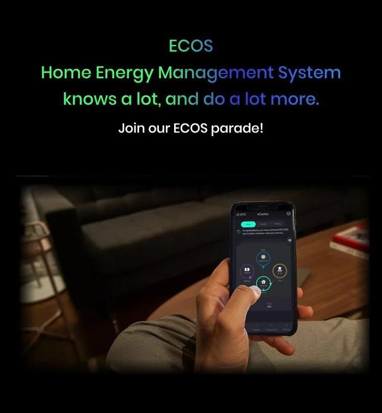 Ecactus Management System — NexgenR