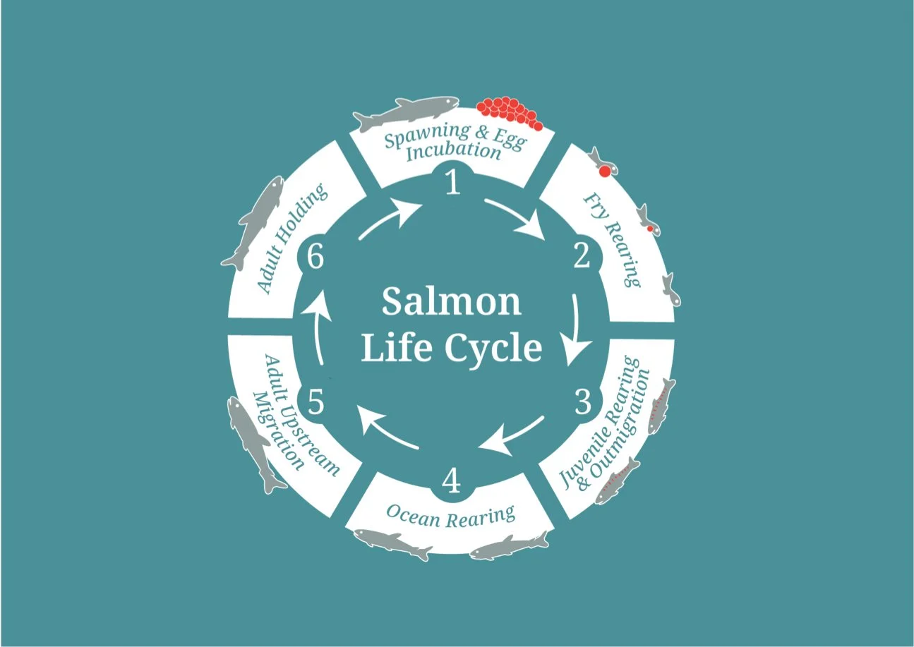 Conservation — Sac Valley Water