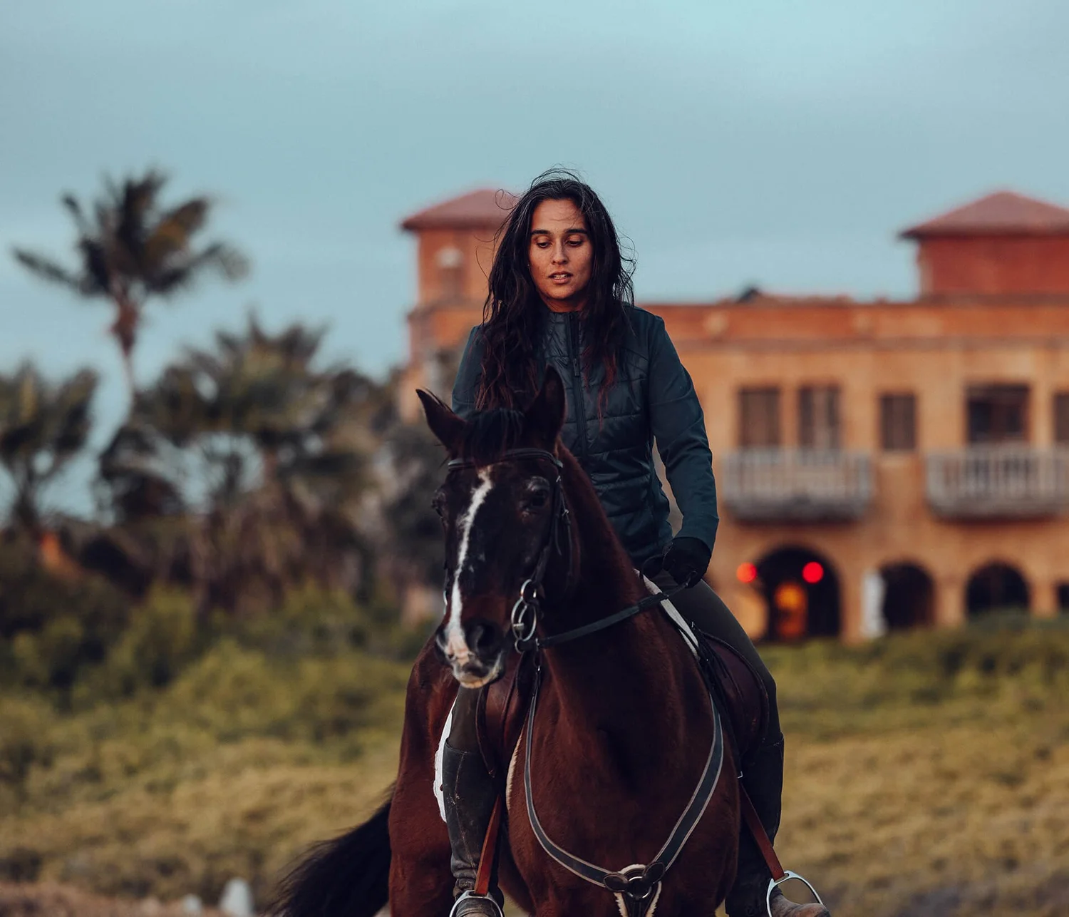 Team 1 — Equus Sur