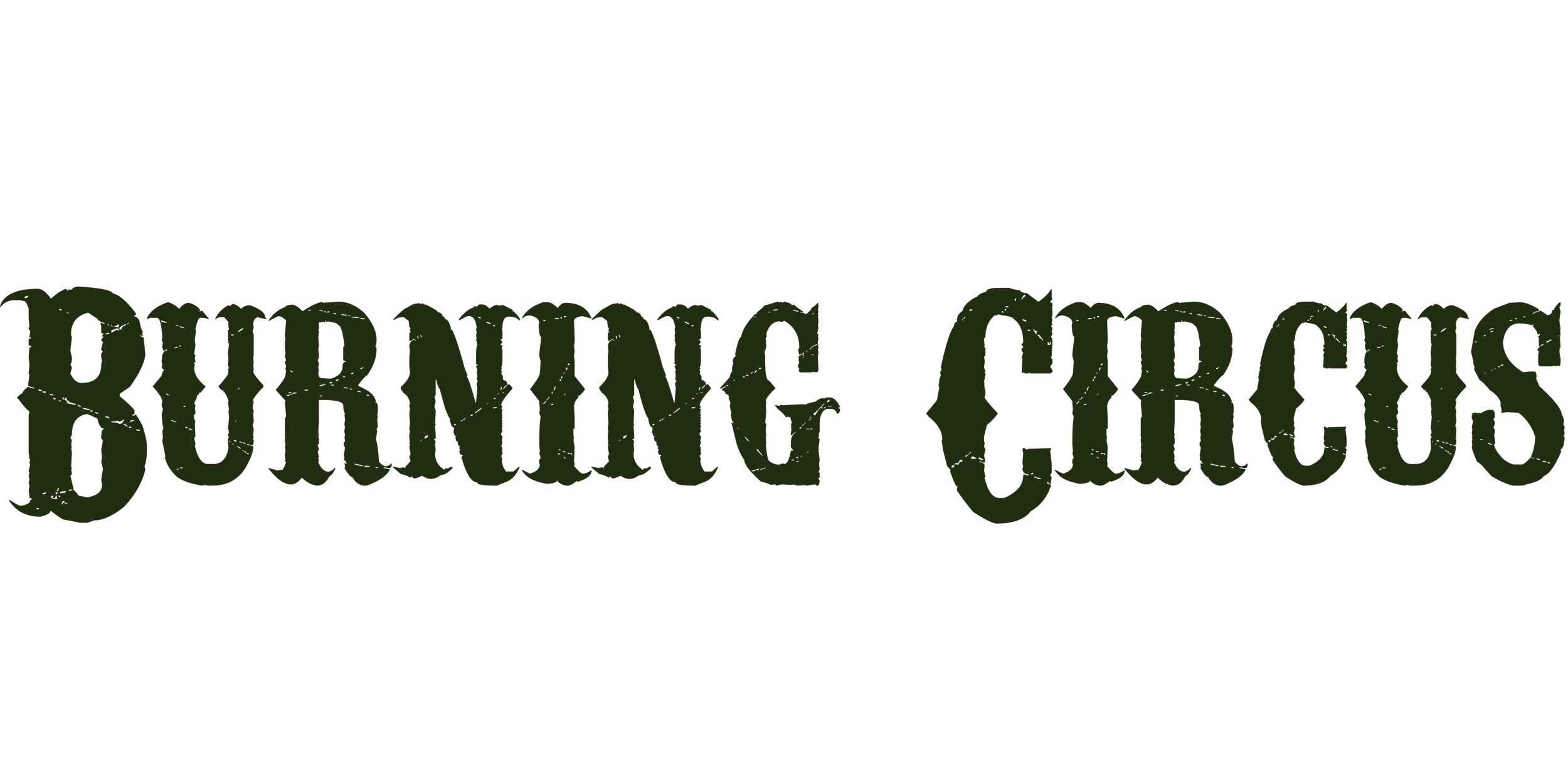 About Burning Circus - Fire Spinners & Circus Performers from Ireland ...