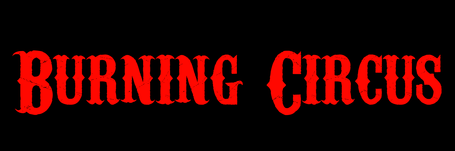Burning Circus - Fire and Circus Performers Ireland