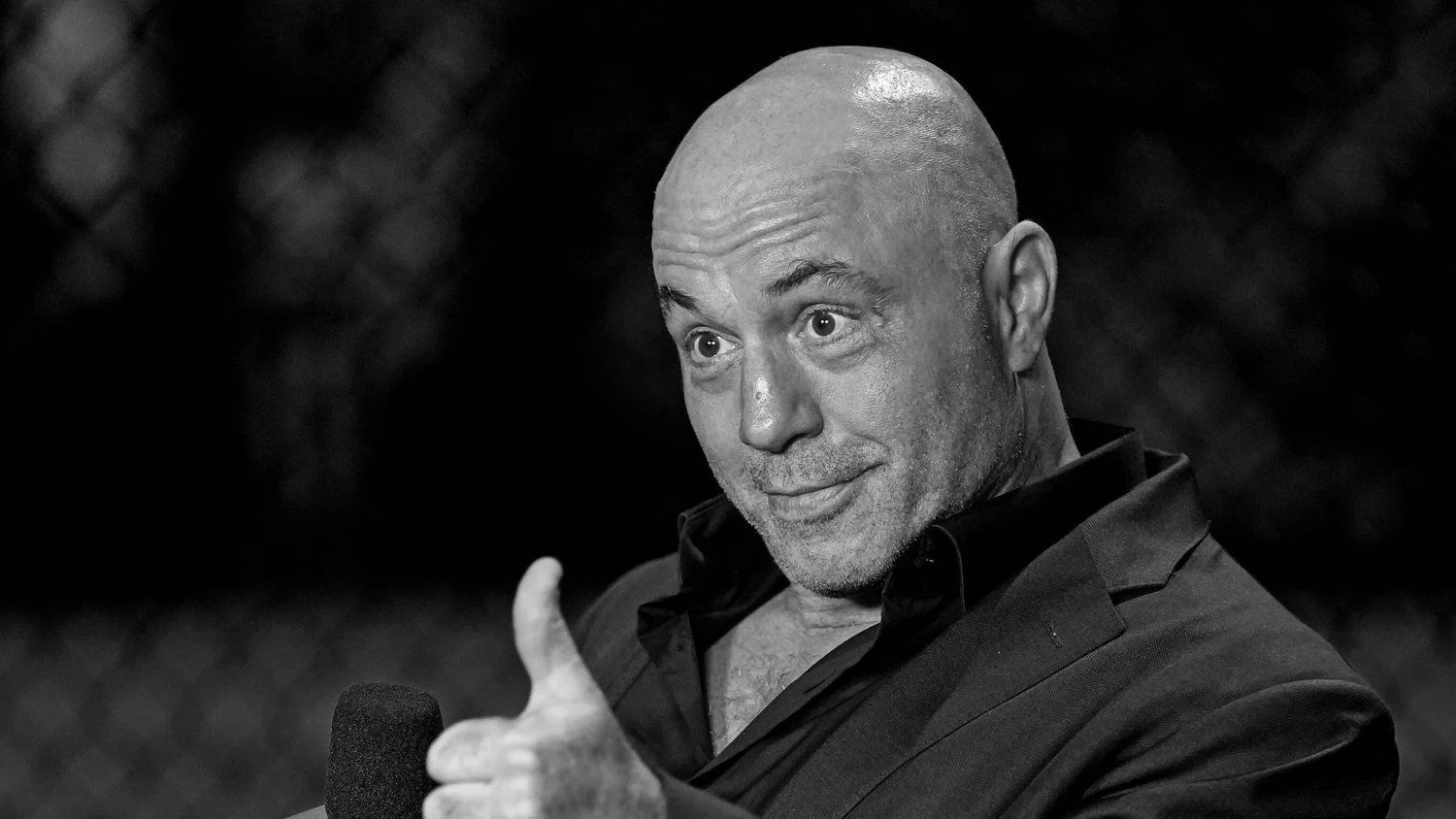Joe Rogan's Guide to Supplements (2024) — Rogan Recs